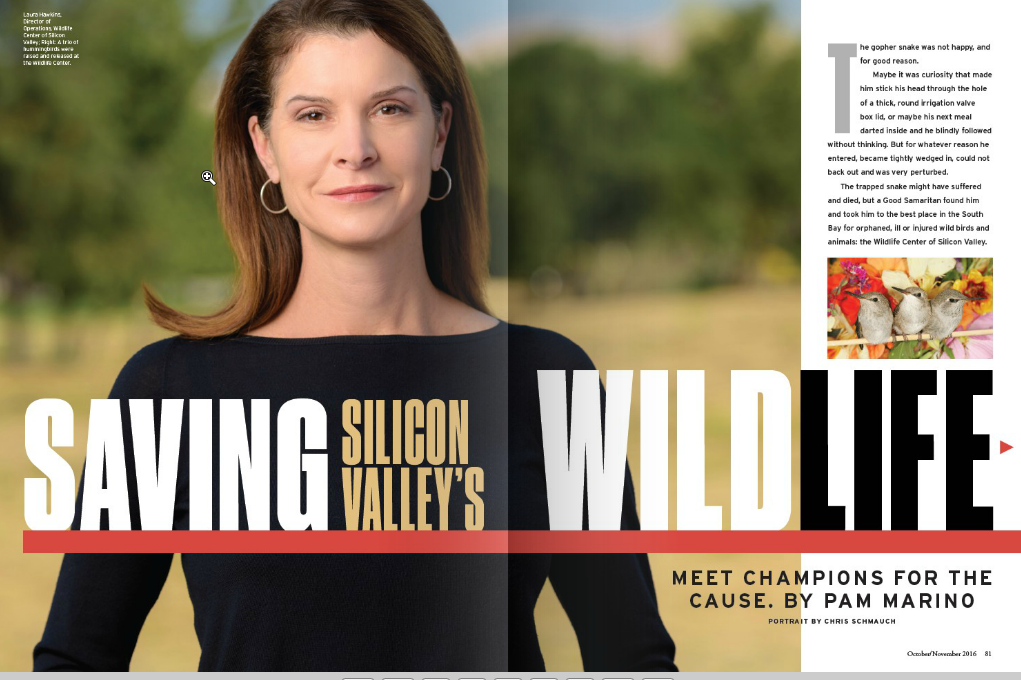 Pam Marino | JOURNALIST, FREELANCE WRITER, SOCIAL MEDIA MANAGER